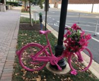 Mysterious Artwork Blooms Between Pentagon City, Crystal City | ARLnow.com