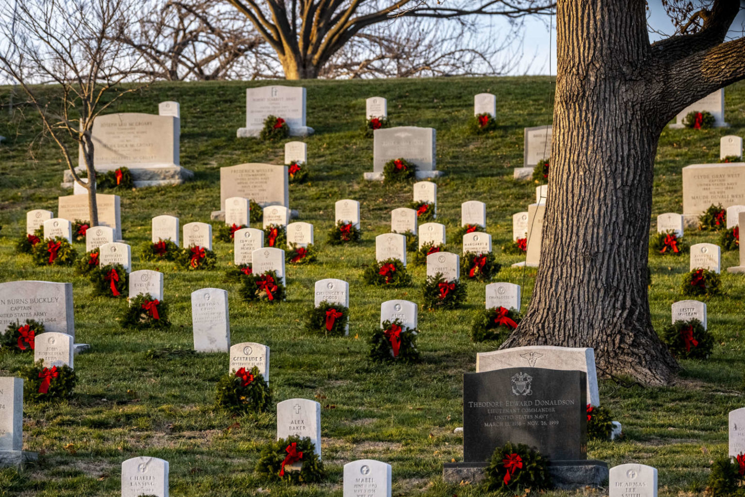 Volunteers Needed to Help ‘Retire’ Wreaths at Arlington National ...