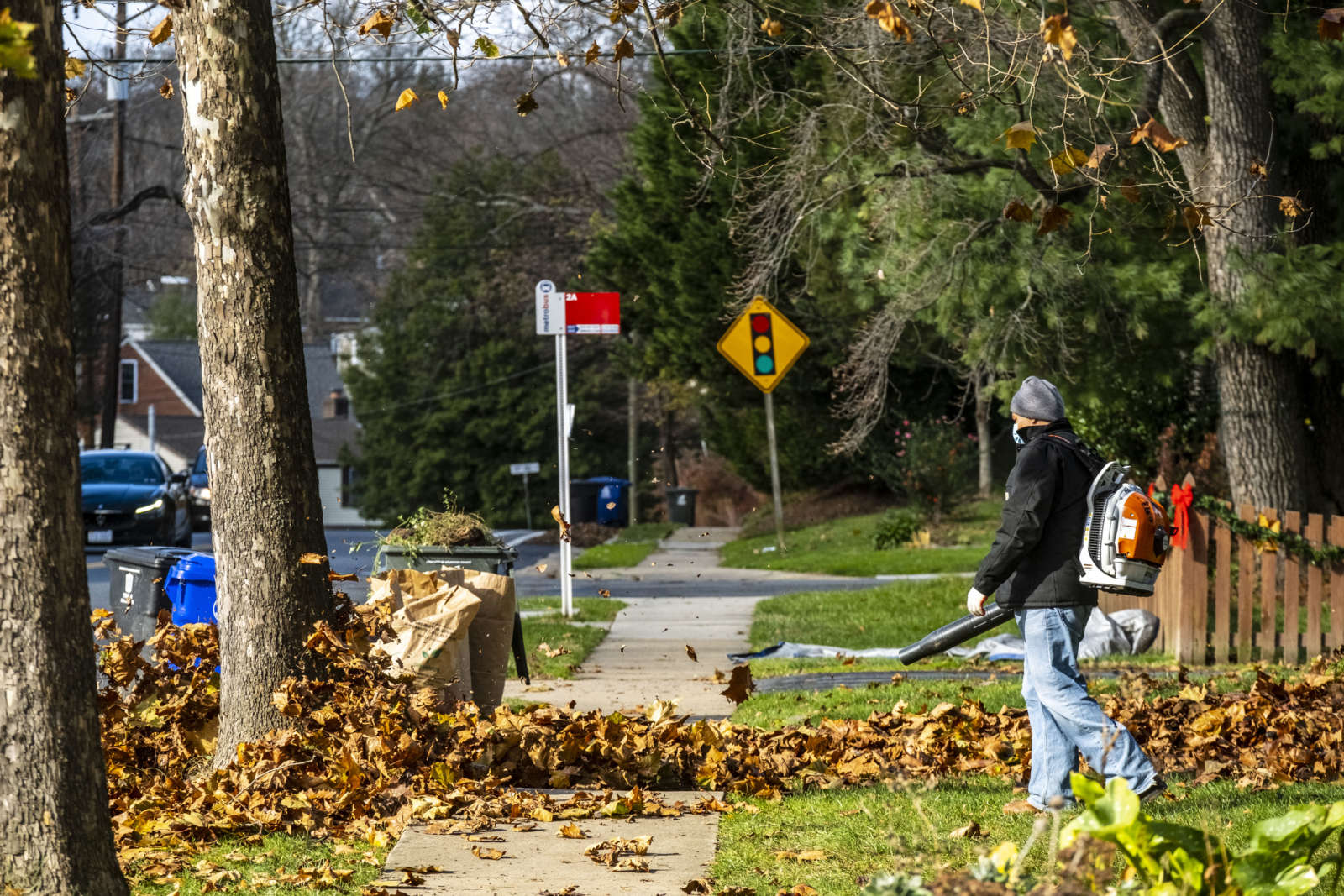 Advocates debate phase-out period for gas leaf blowers as County Board ...