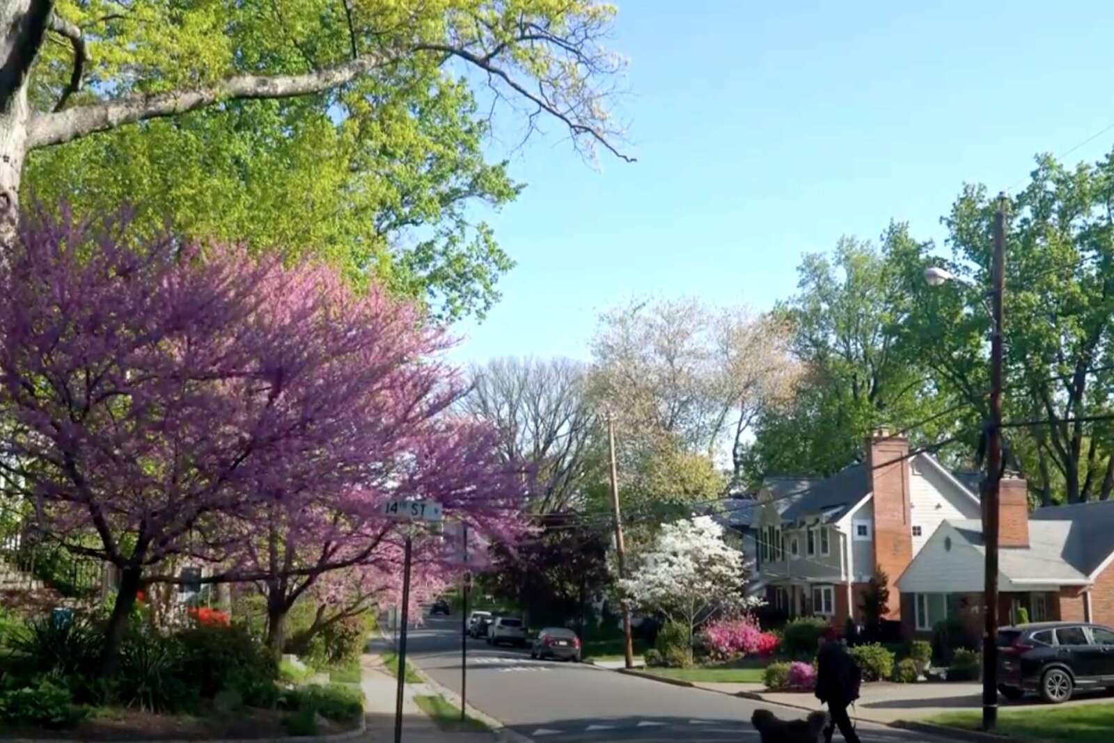 Neighborhood Spotlight: Waycroft-Woodlawn Combines Community and Charm ...