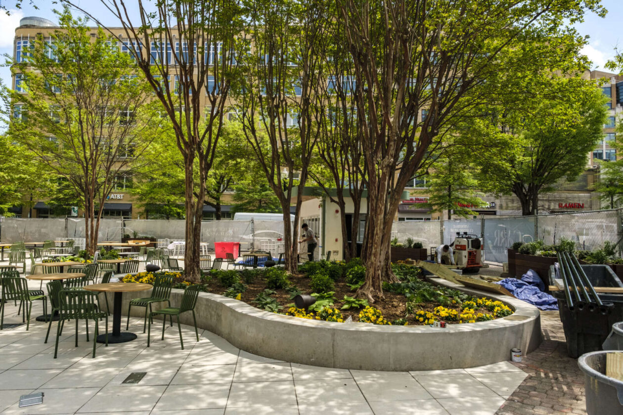 Expansive outdoor cafe and bar in Clarendon is looking to open this ...
