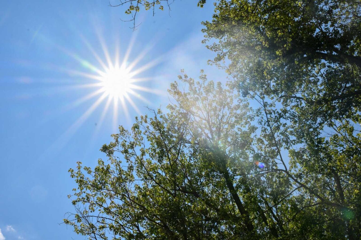 WEATHER ALERT: Heat Advisory, Extreme Heat Watch issued for later this ...