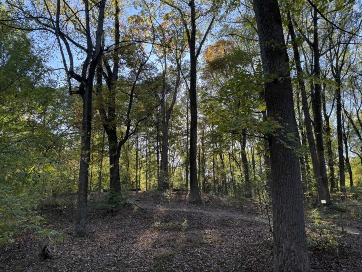Morning Notes for October 25, 2024 | ARLnow.com