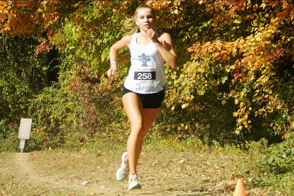 Arlington runners place in Class 6 Va. cross-country championships ...