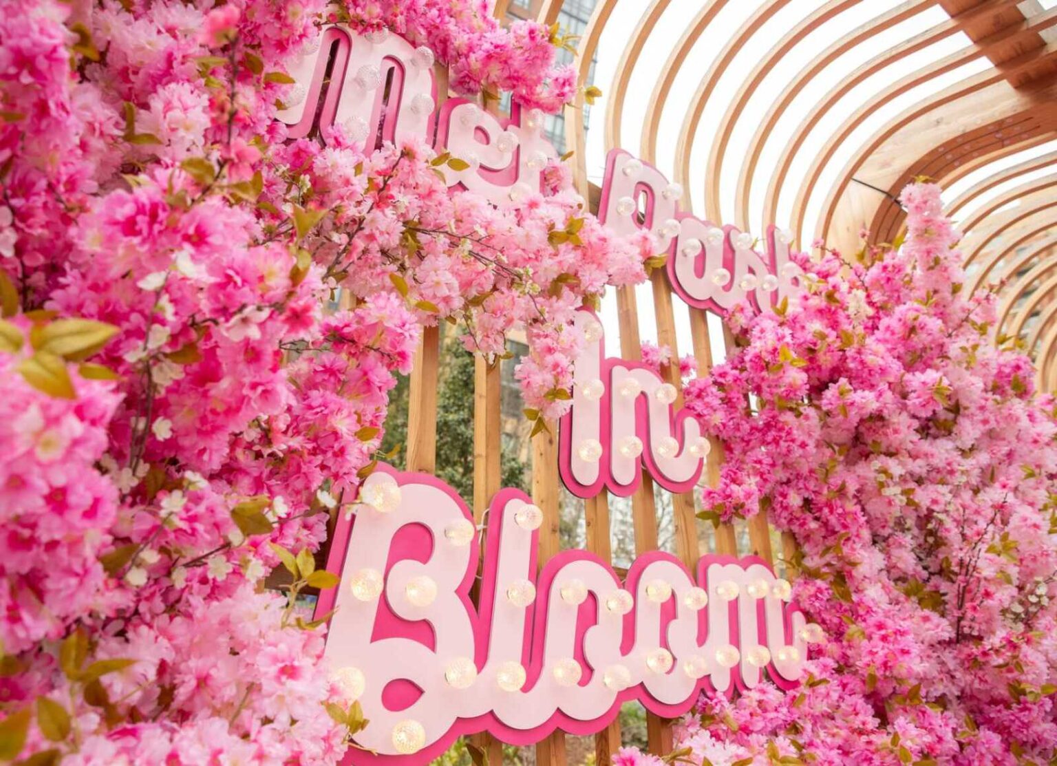 ‘Art of Pink’ night market celebrates cherry blossoms in Pentagon City ...