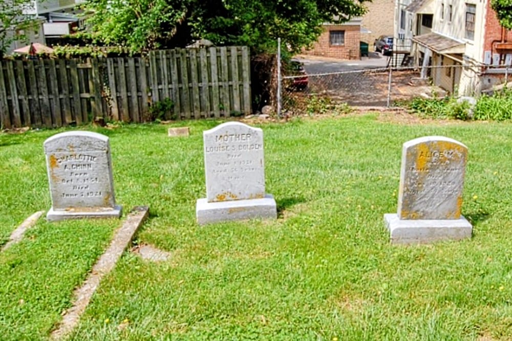 Historic cemetery on Langston Blvd to receive fencing and a bench from ...