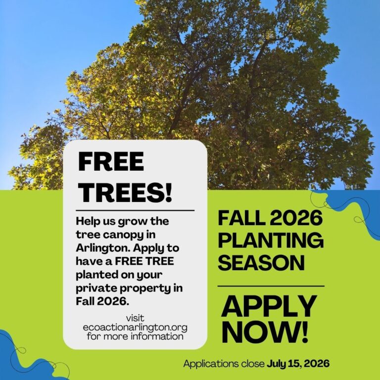 Apply for a free tree; Fall 2026 Tree Planting now open | ARLnow.com