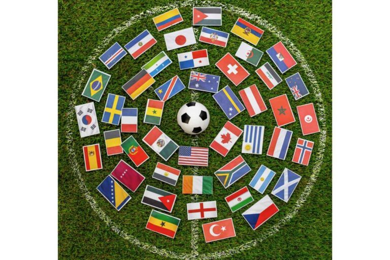 PANINI Sticker Swap | ARLnow